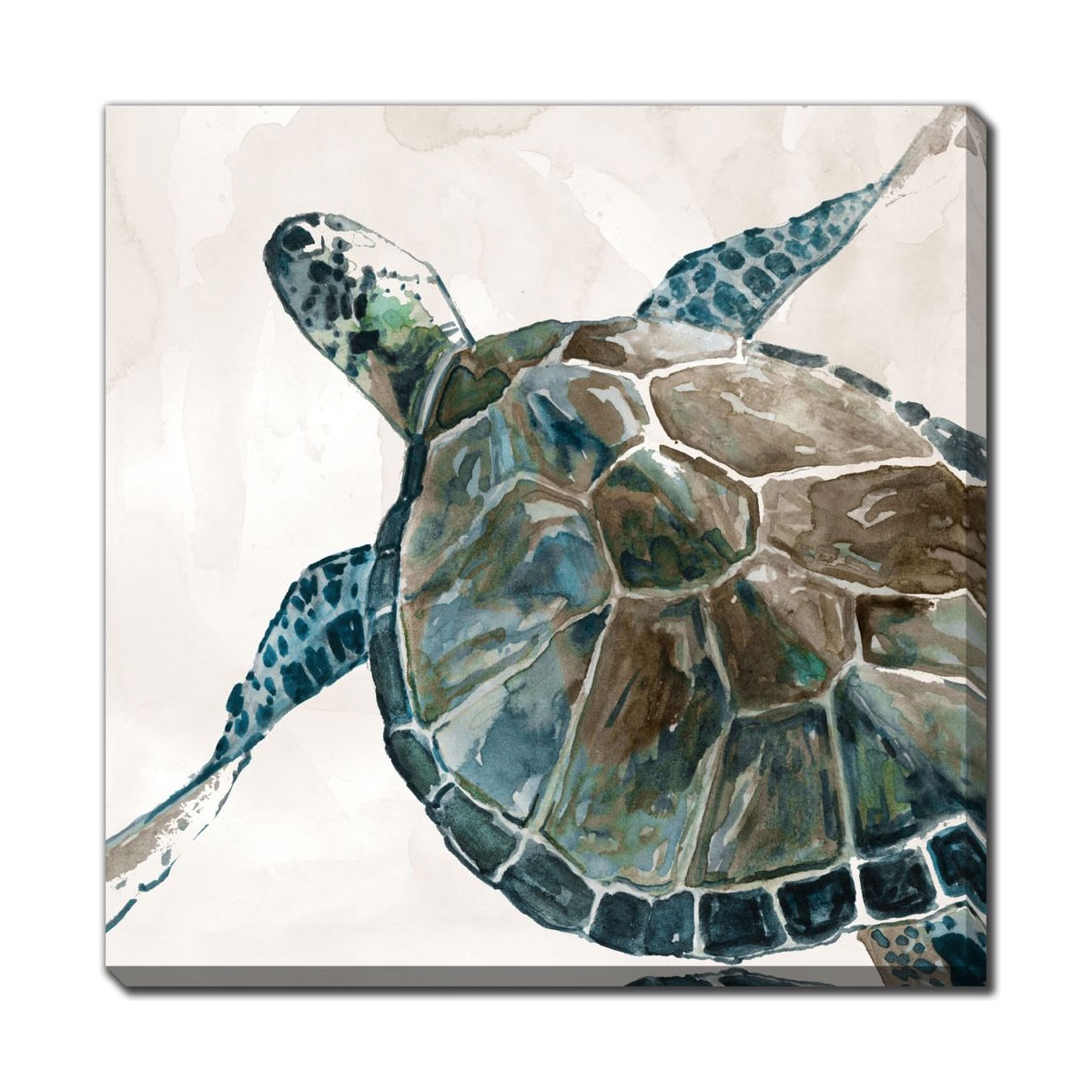 NEUTRAL SEA TURTLE II ART