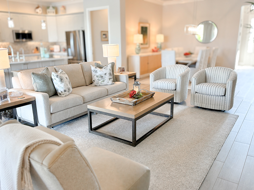 Transitional Home Design by Leasa Erkiletian | Babette’s Furniture
